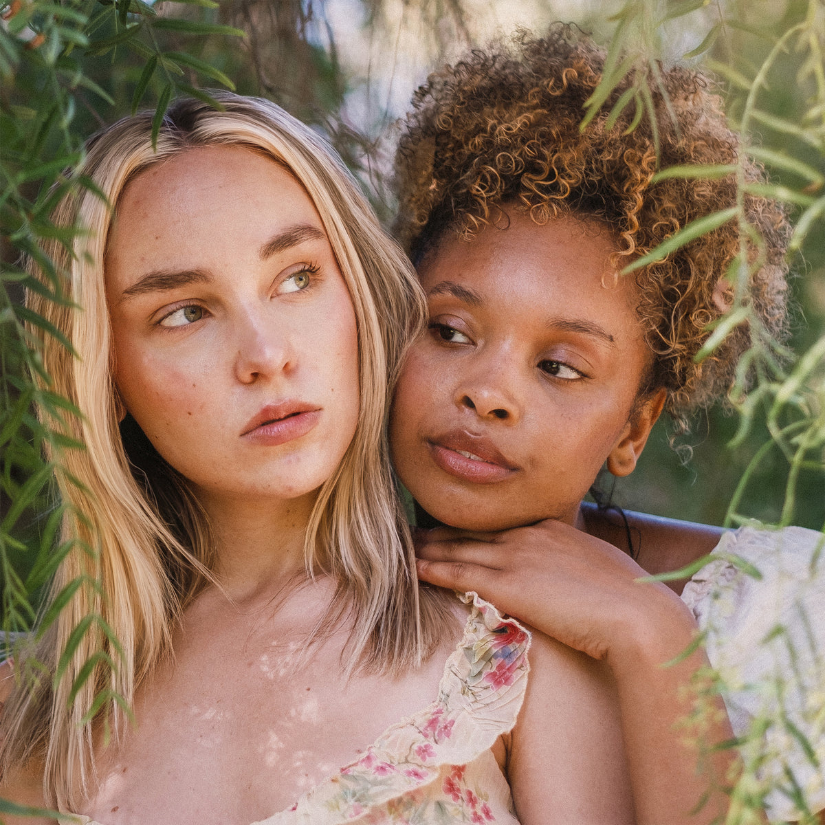 Ultra Purple Anti-Yellowing Hair Mask – Centifolia Botanicals